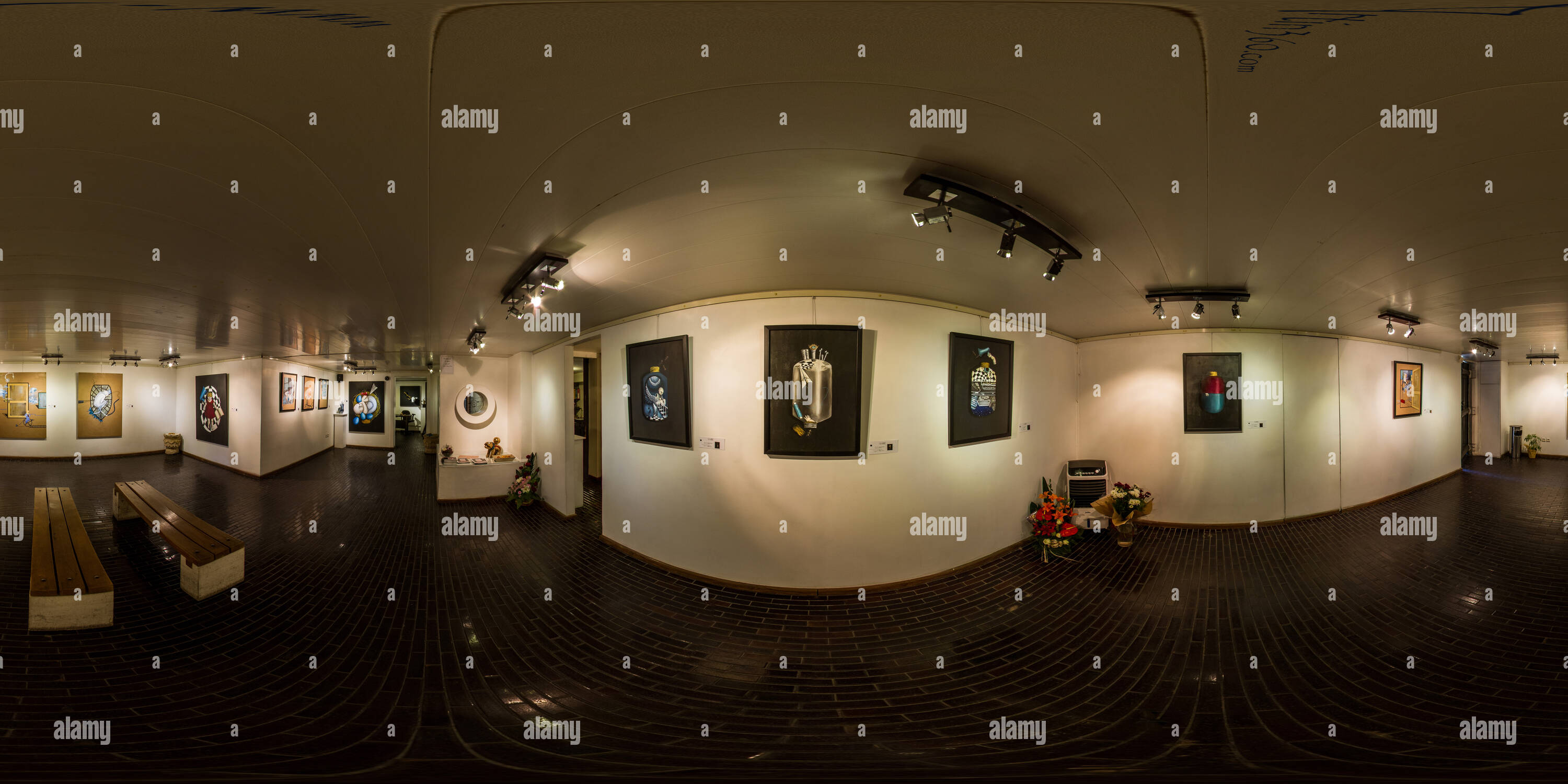 Marjan seyhoun -Fotos und -Bildmaterial in hoher Auflösung – Alamy