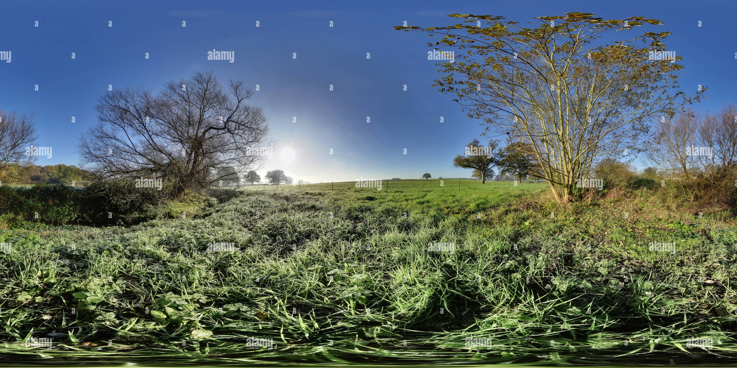 Crowhurst surrey -Fotos und -Bildmaterial in hoher Auflösung – Alamy