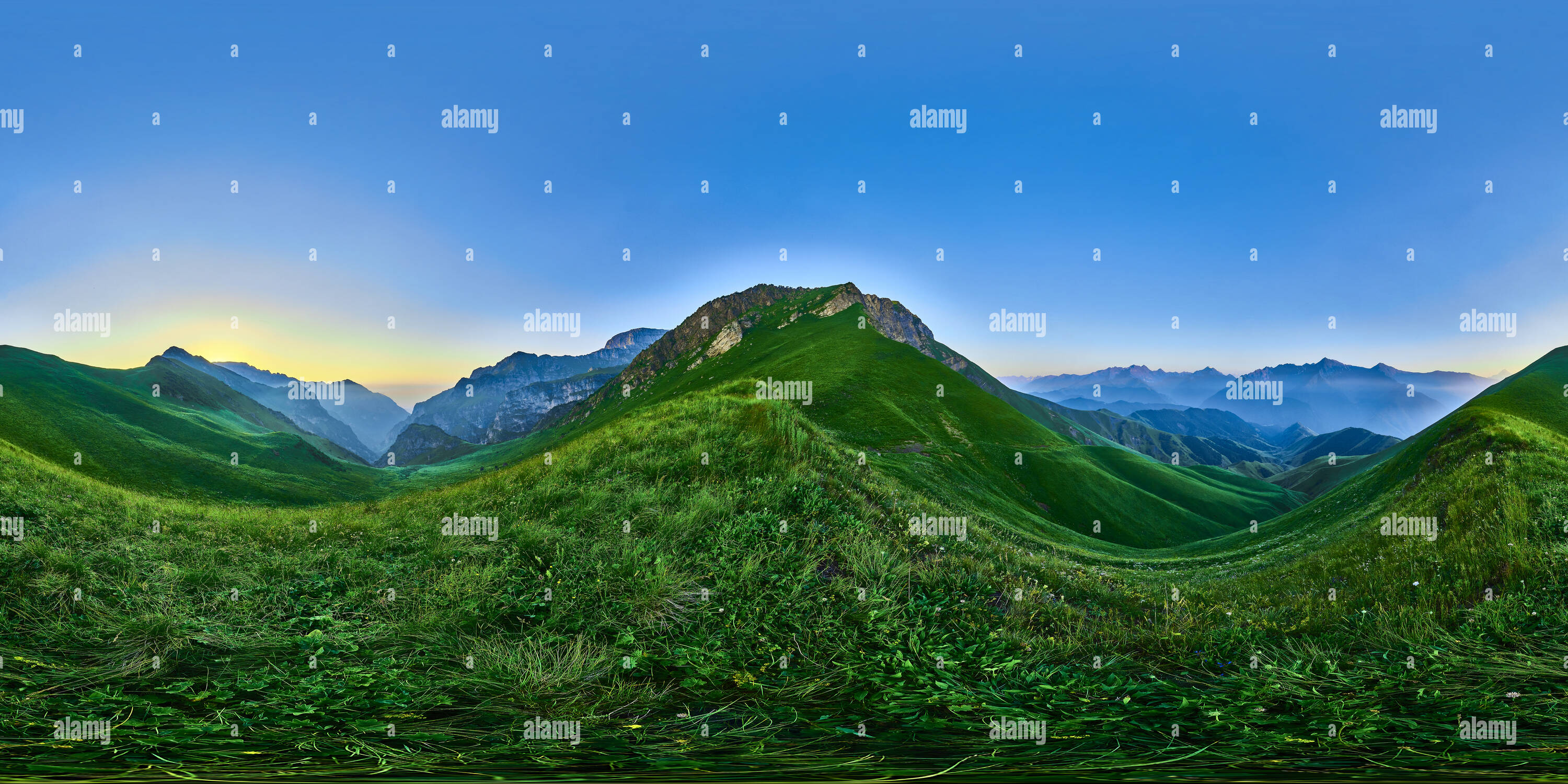 Ger chej -Fotos und -Bildmaterial in hoher Auflösung – Alamy