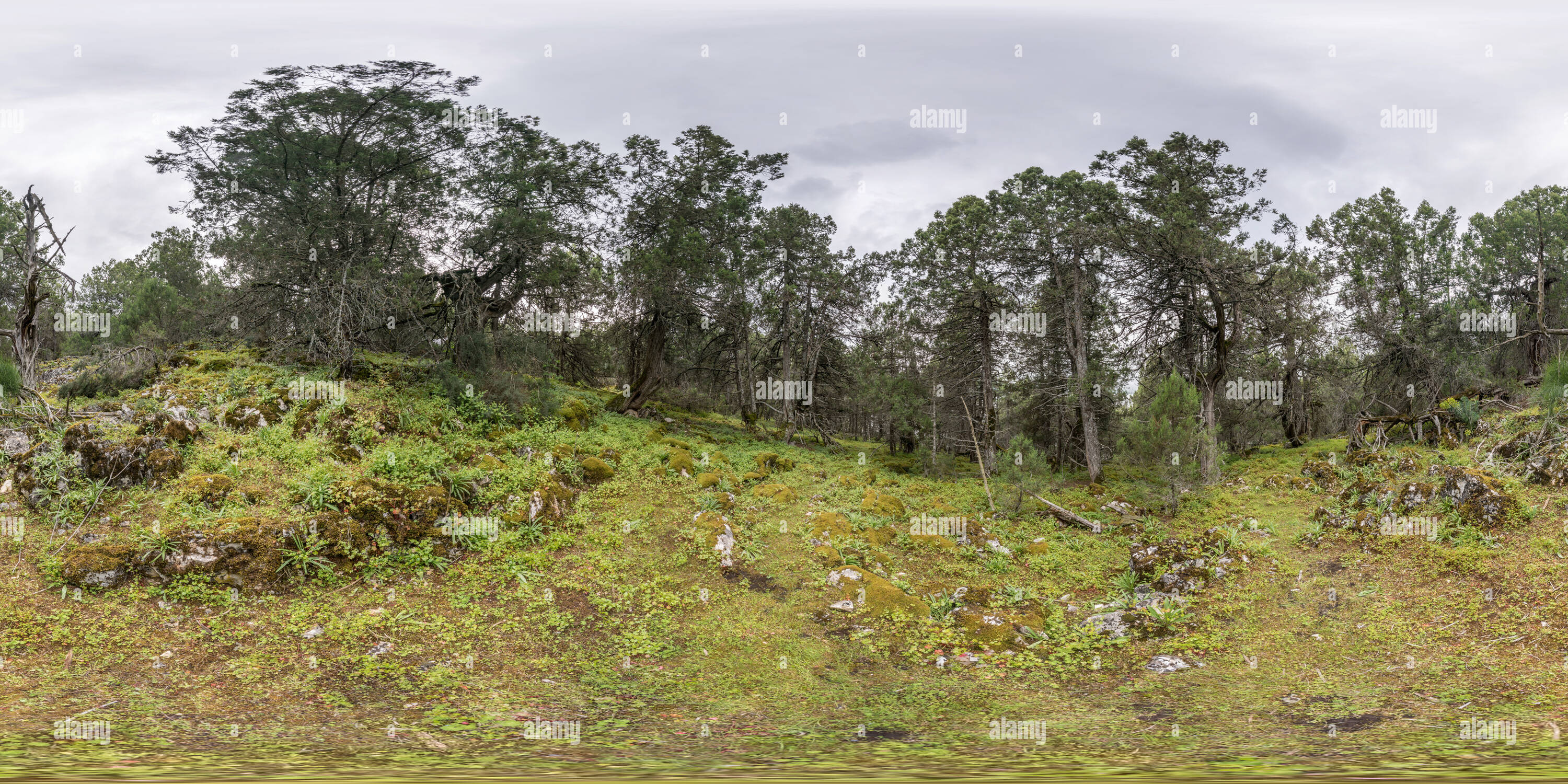 Prespa golem grad -Fotos und -Bildmaterial in hoher Auflösung – Alamy