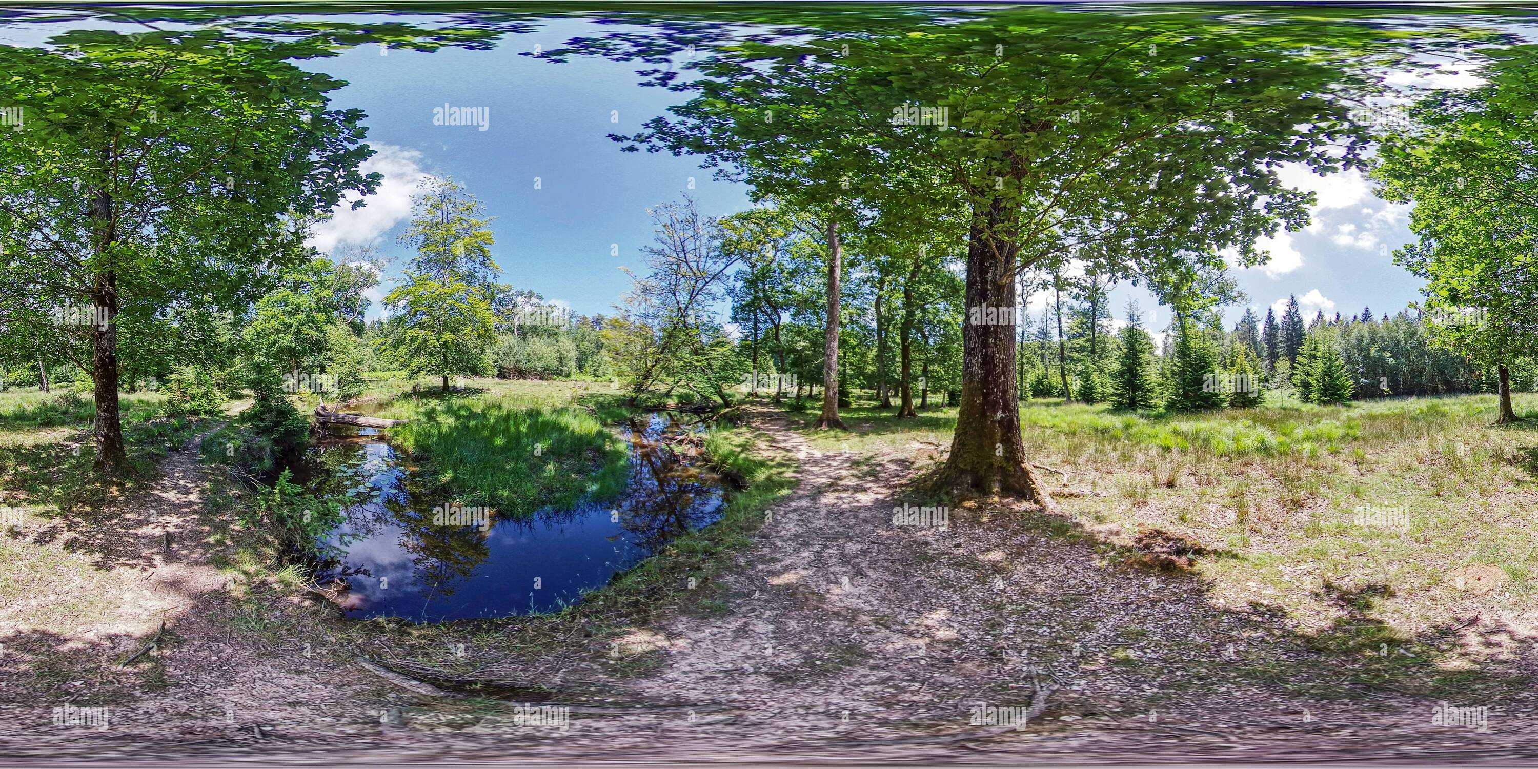 Vue à 360° de Ruisseau Blackwater dans la nouvelle forêt (360VR - Alamy