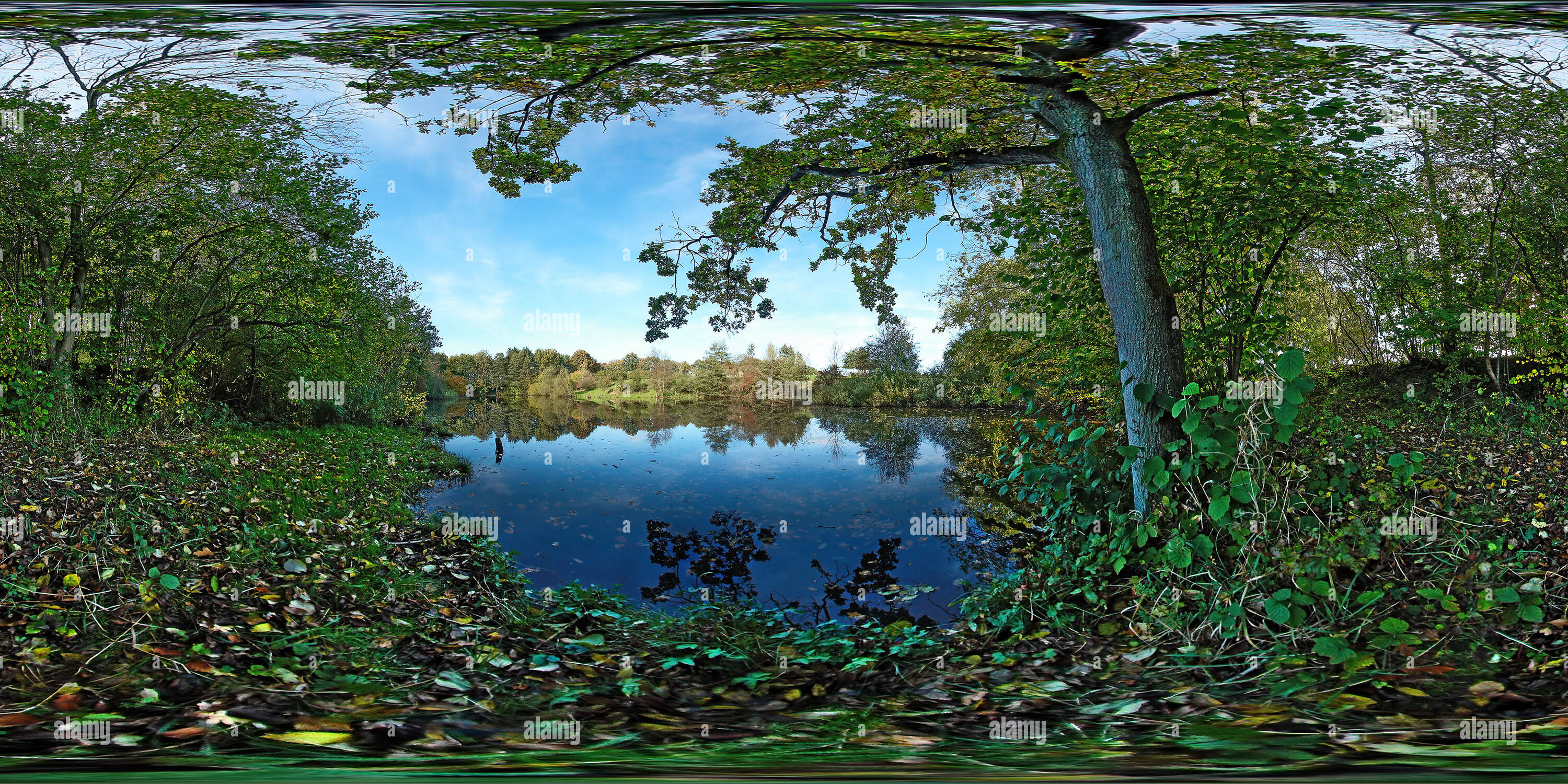 Dithmarscher landschaft Banque de photographies et d’images à haute ...