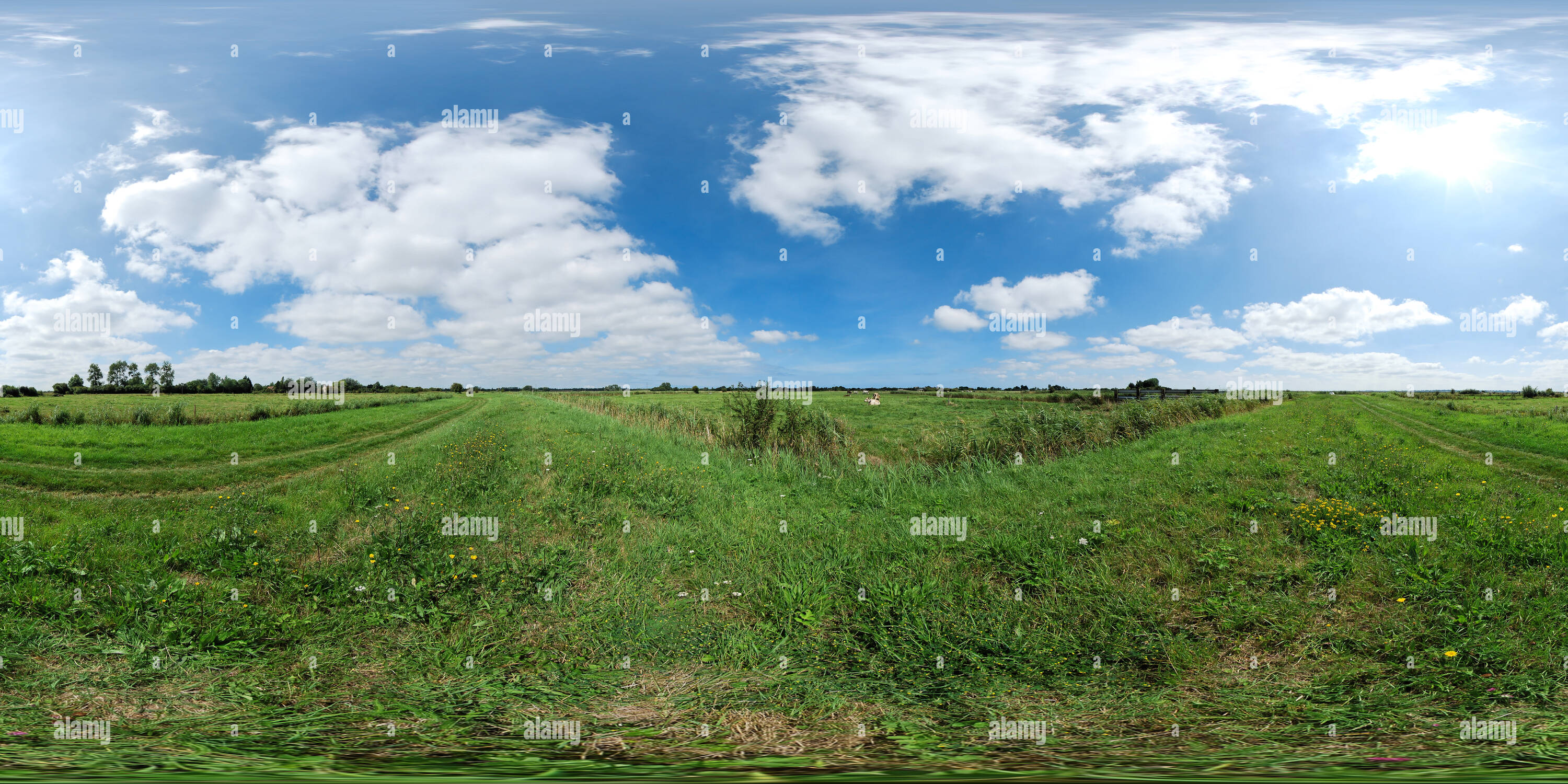 Les veys Banque de photographies et d’images à haute résolution - Alamy