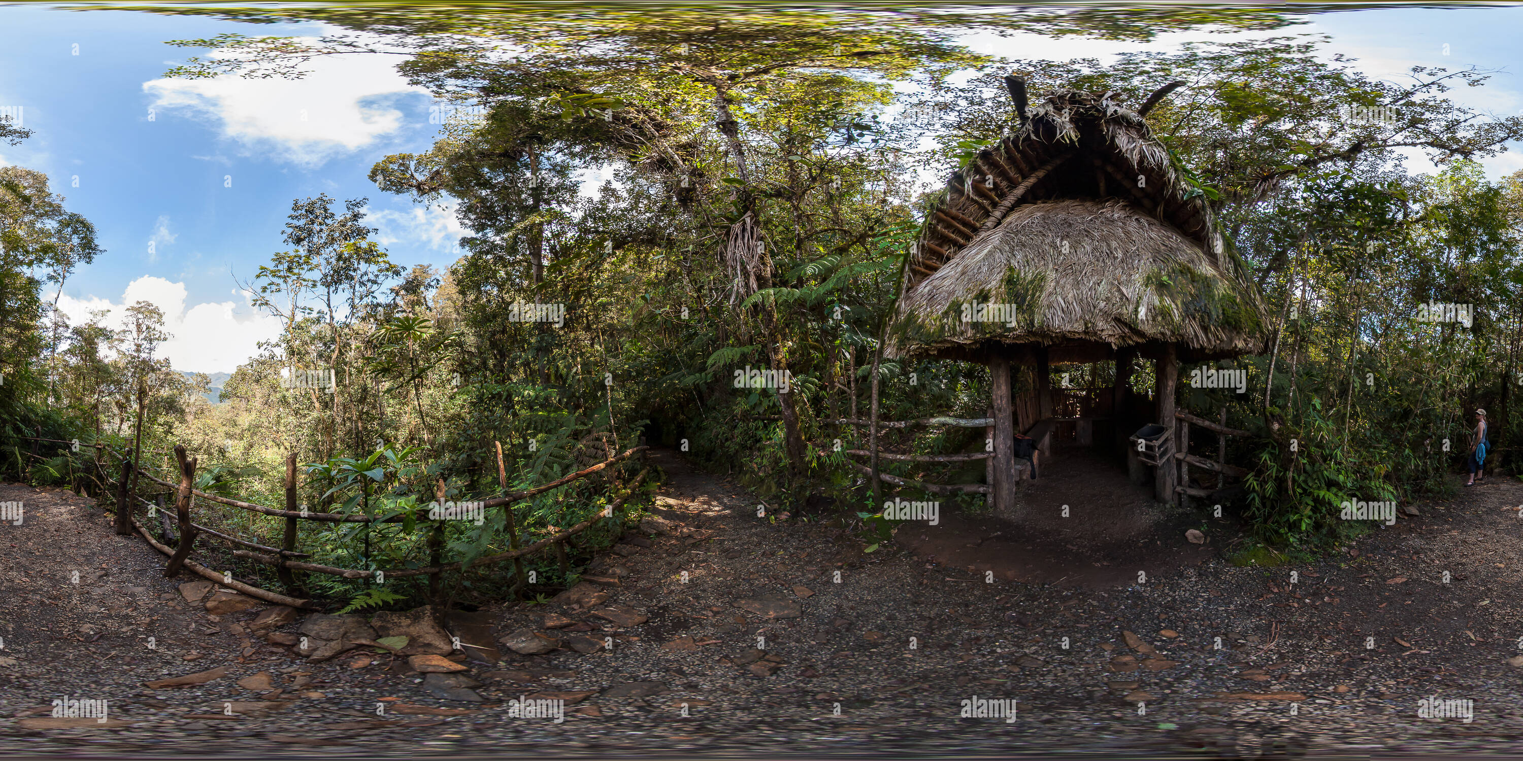 Biotopo quetzal guatemala Banque de photographies et d’images à haute ...