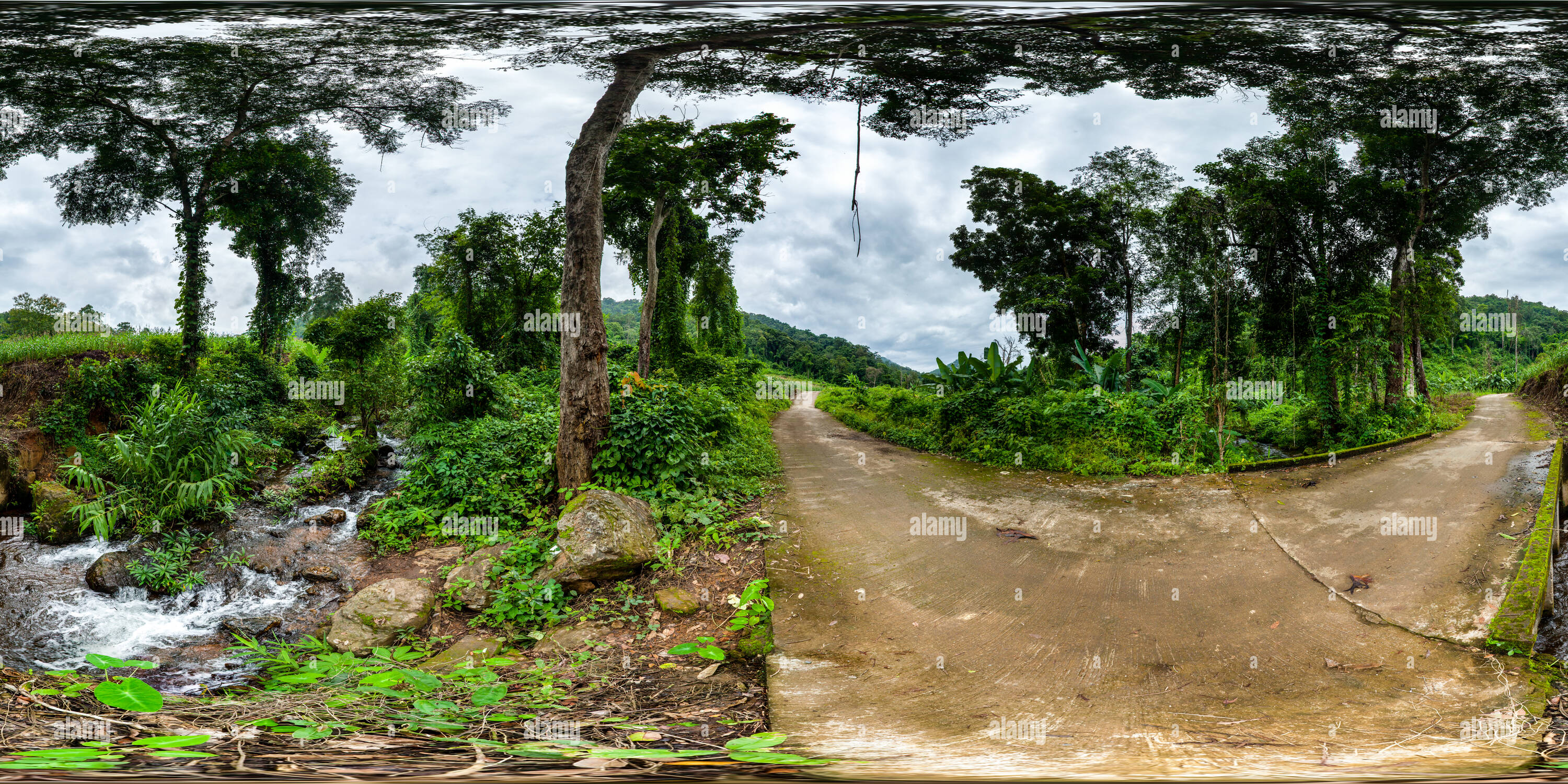 Vue à 360° de Un chemin rural, un pont et un ruisseau dans une région ...