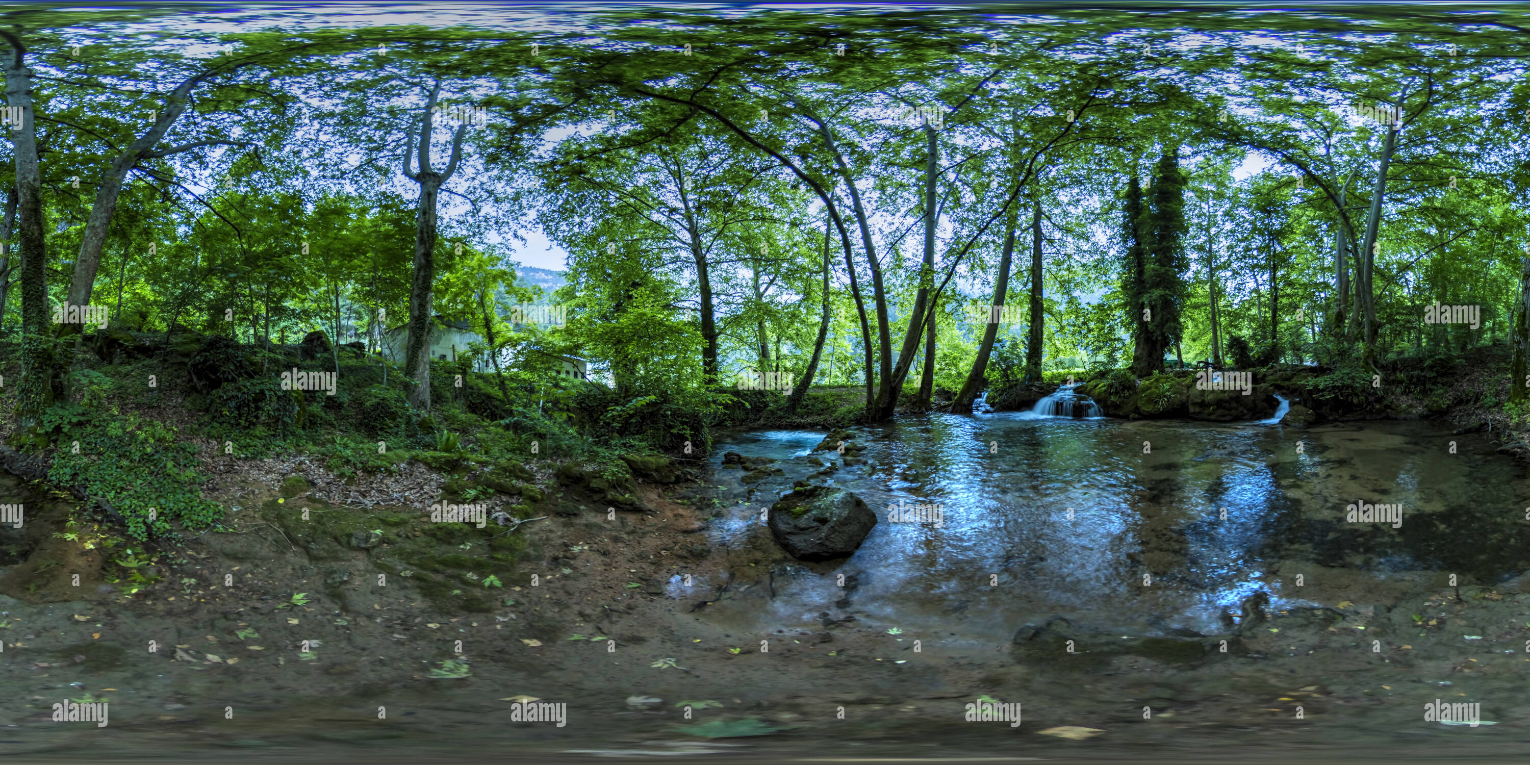 Papazin bahcesi Banque de photographies et d’images à haute résolution ...