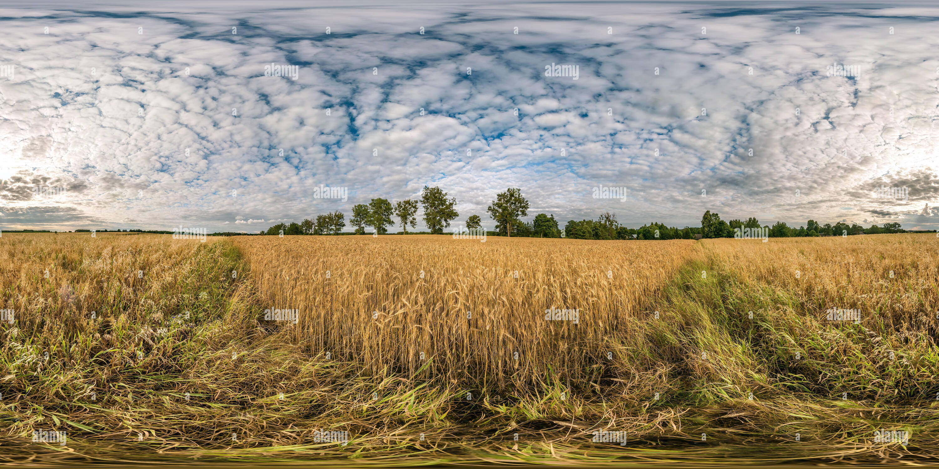 Vista a 360 gradi di Piena sferica perfetta hdri panorama a 360 gradi ...