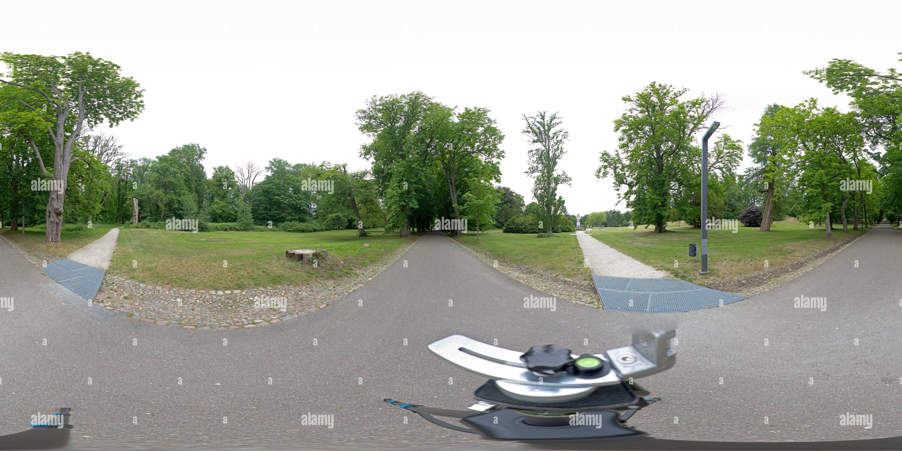 Foto 360 gradi alberi immagini e fotografie stock ad alta risoluzione ...