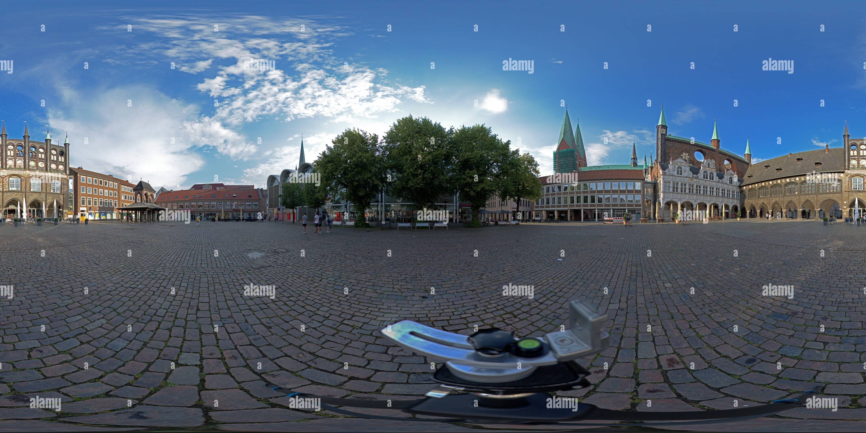 Foto 360 gradi alberi immagini e fotografie stock ad alta risoluzione ...