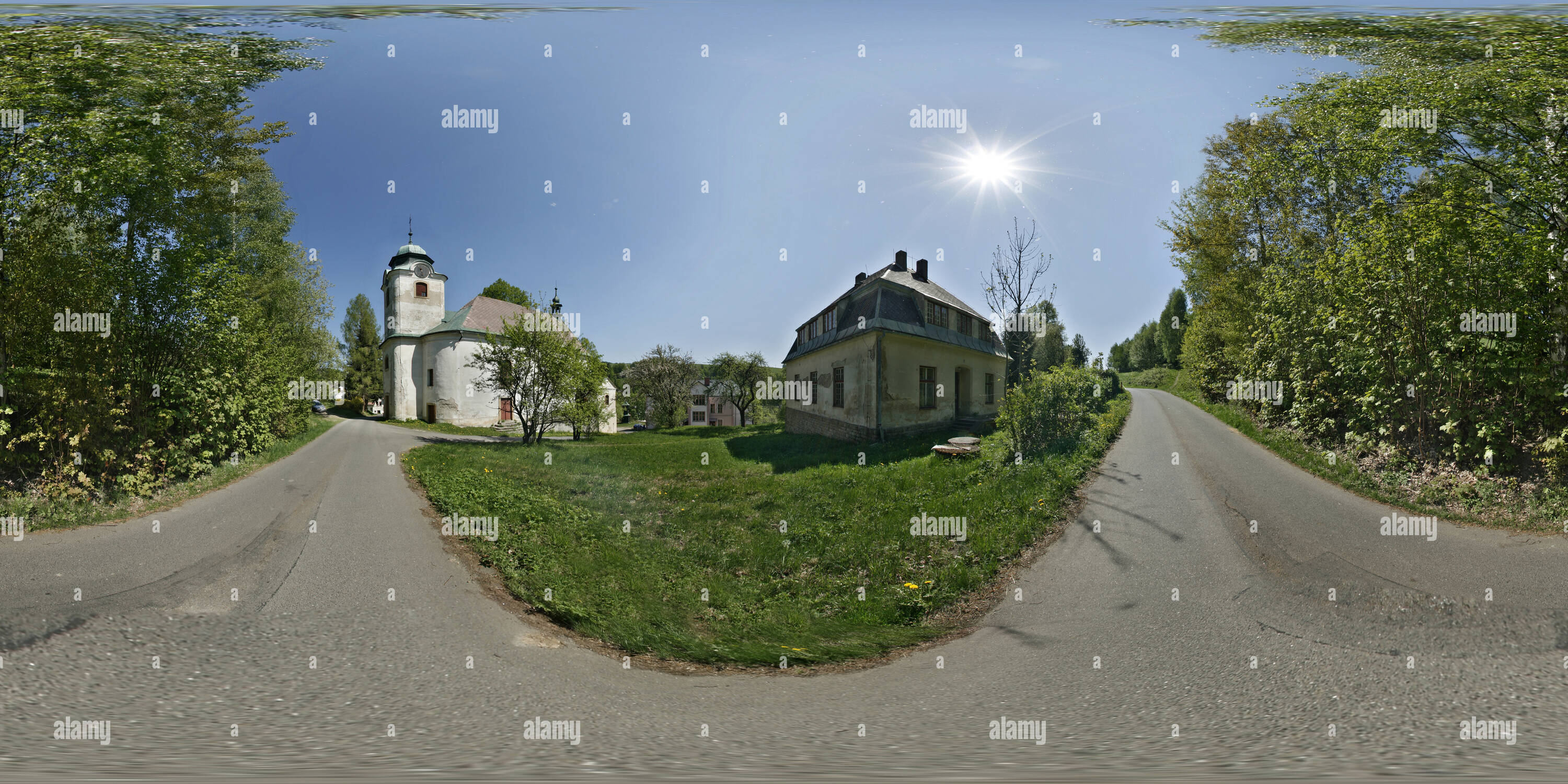 Zlata olesnice immagini e fotografie stock ad alta risoluzione - Alamy