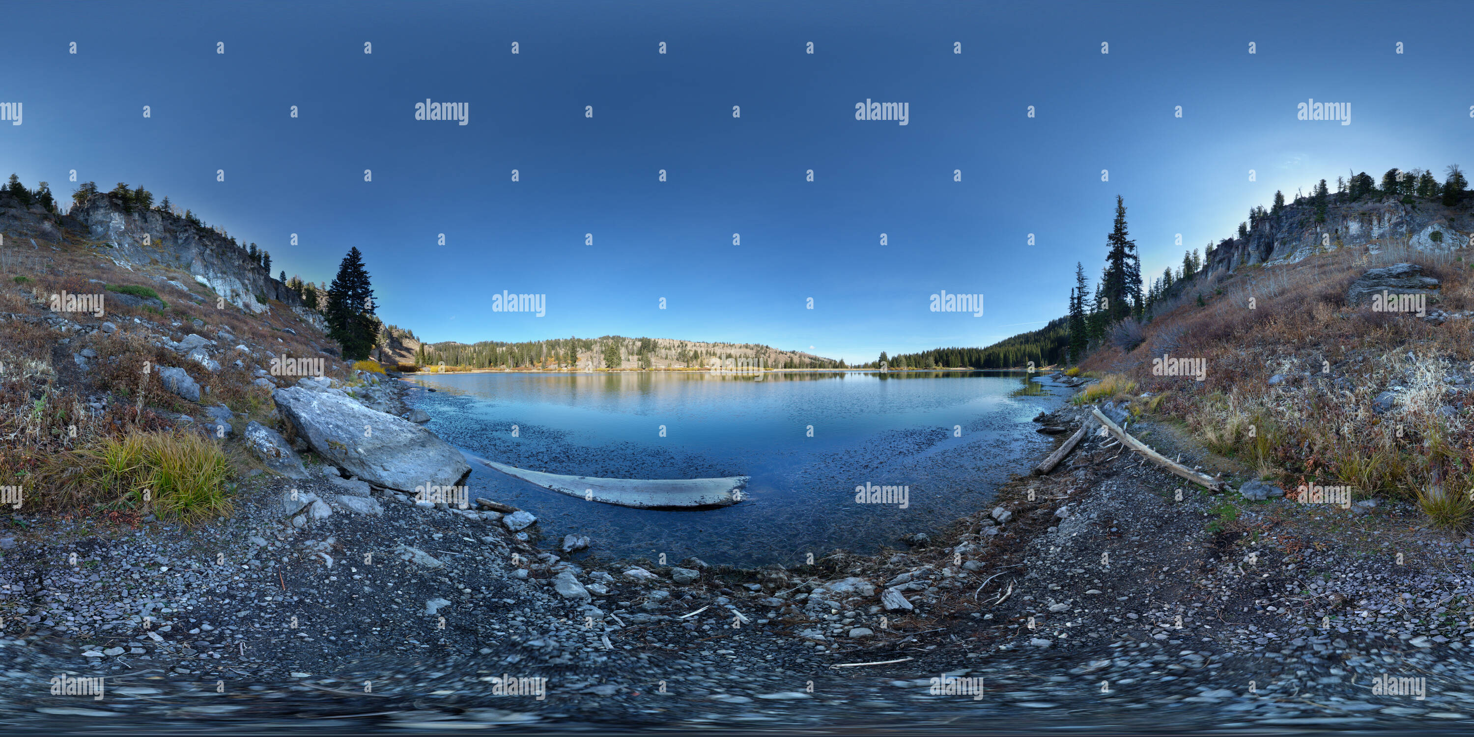 Lago di tony boschetto immagini e fotografie stock ad alta risoluzione ...