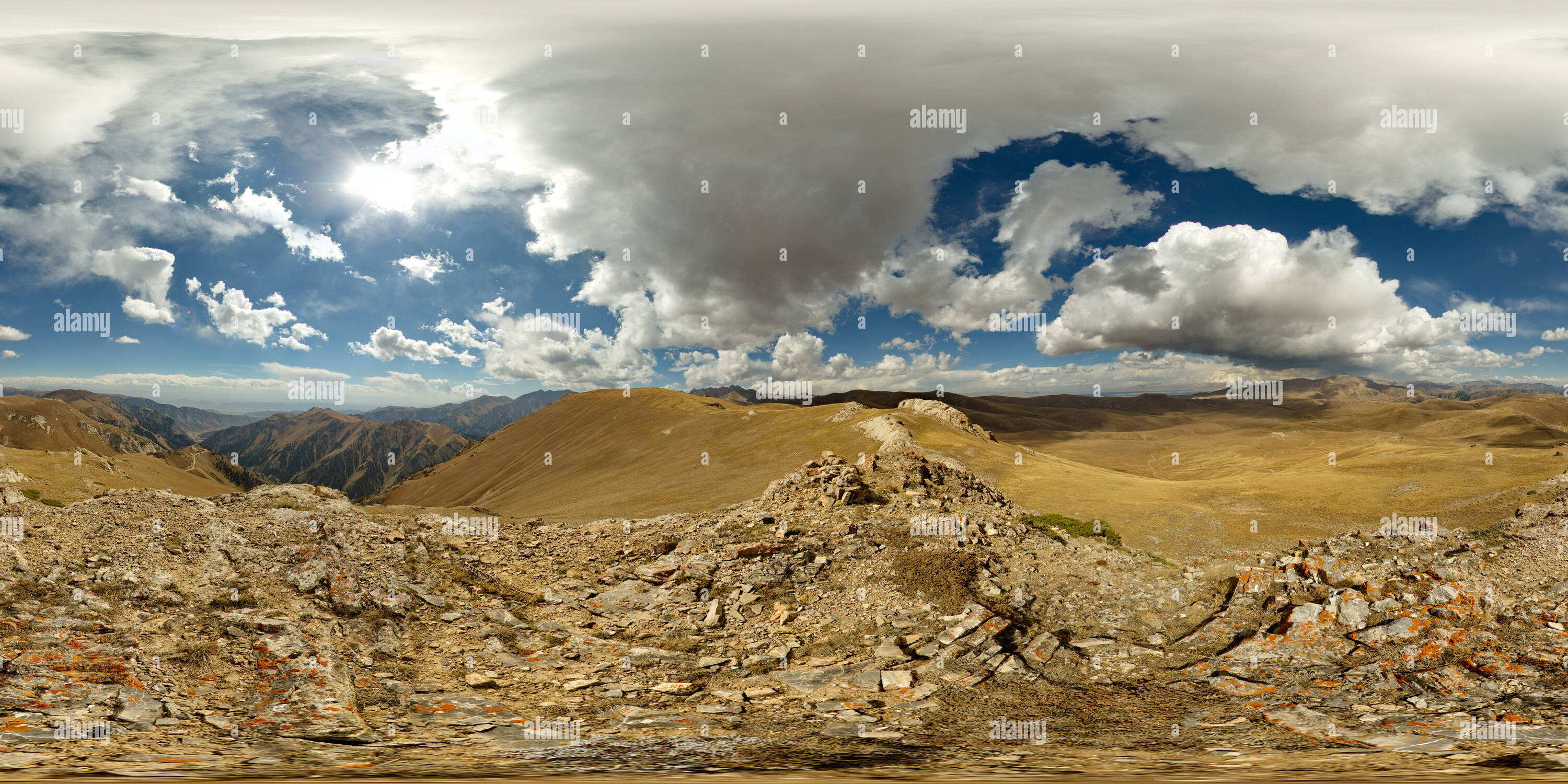 Anche il moldo immagini e fotografie stock ad alta risoluzione - Alamy